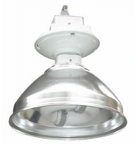 Induction Retrofit Lamp