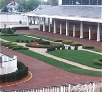 Eco-Rubber Equestrian Pavers - Eco Smart