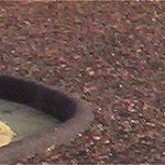 Eco-Rubber J Curb Flexible Curbing - Eco-$mart